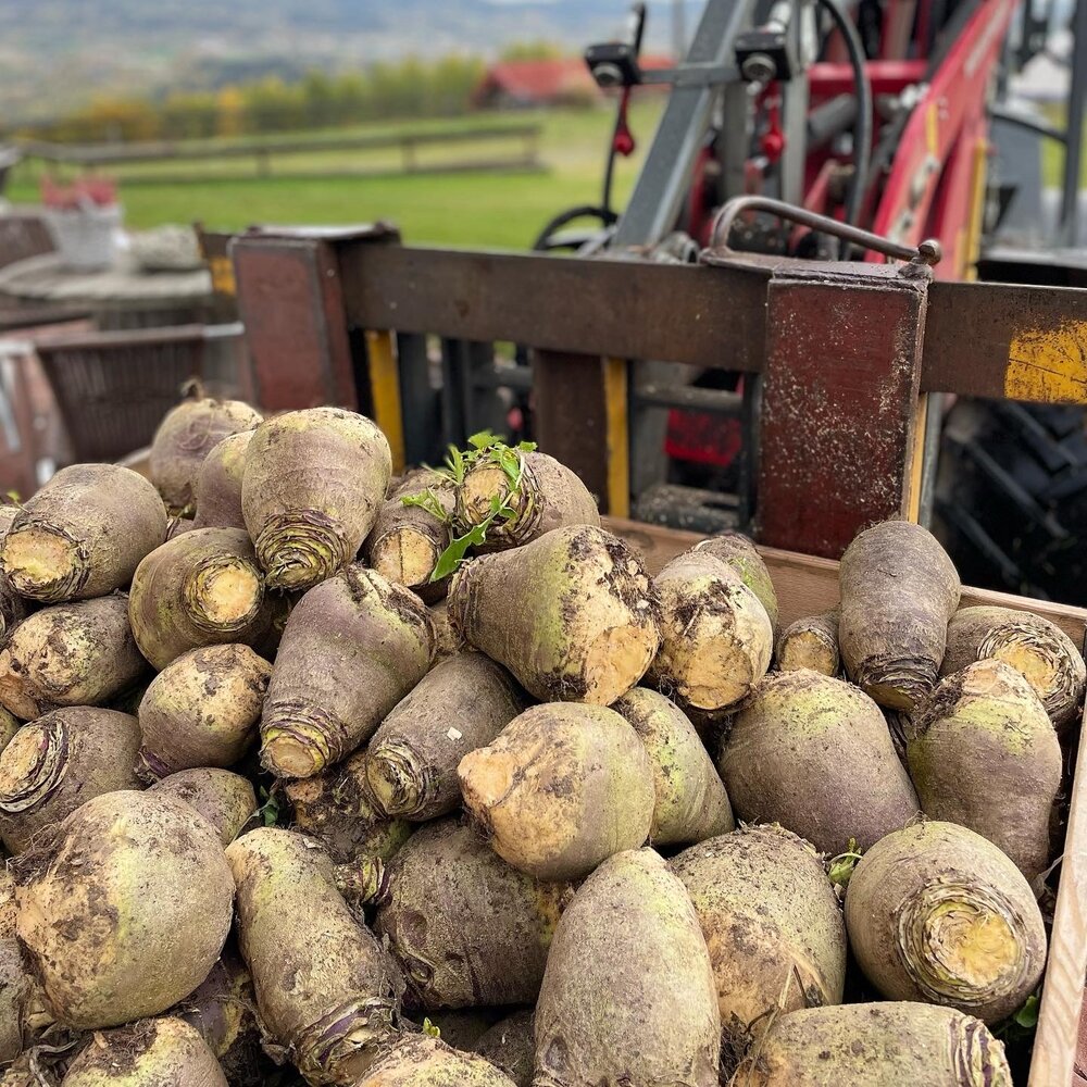 Helgaker Gård | Bespisning